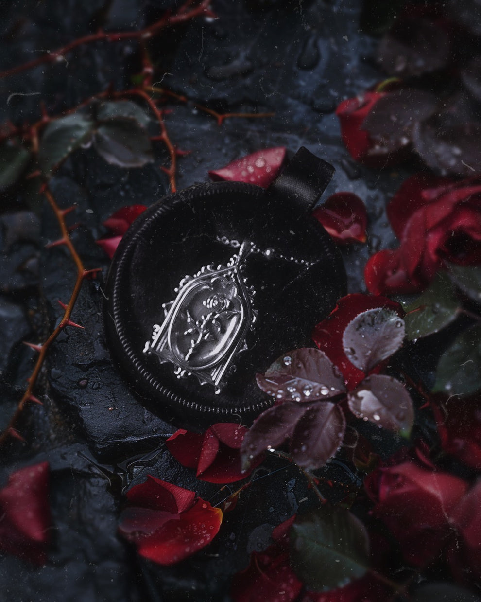 The "Lenore's Tomb” Curio Necklace – petalsandpoison