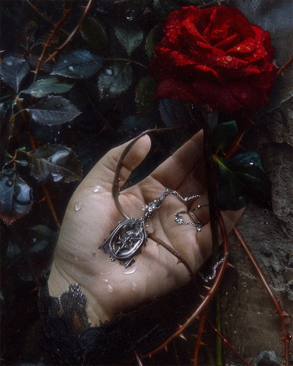 The "Lenore's Tomb” Curio Necklace – petalsandpoison