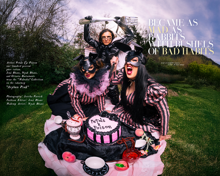 ARCHIVE: The "Malvolia" Dress in ASYLUM PINK – petalsandpoison