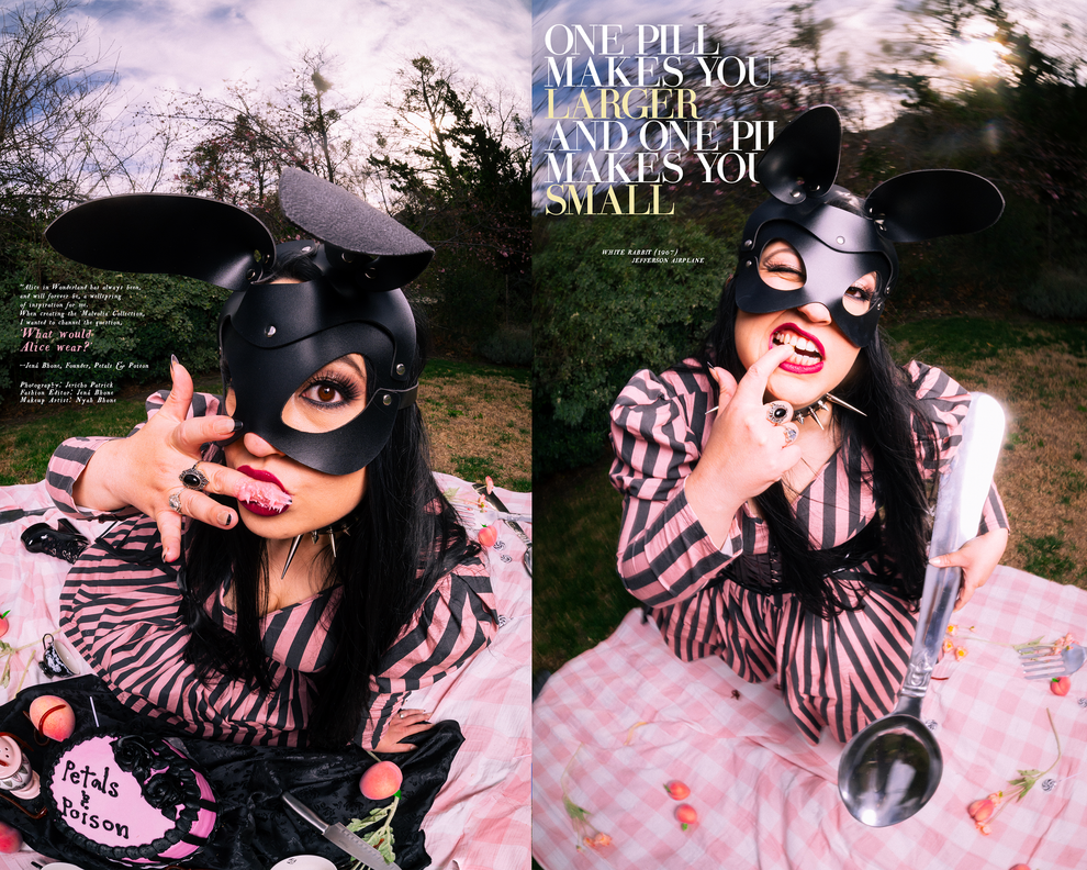 The "Malvolia" Dress in ASYLUM PINK – petalsandpoison